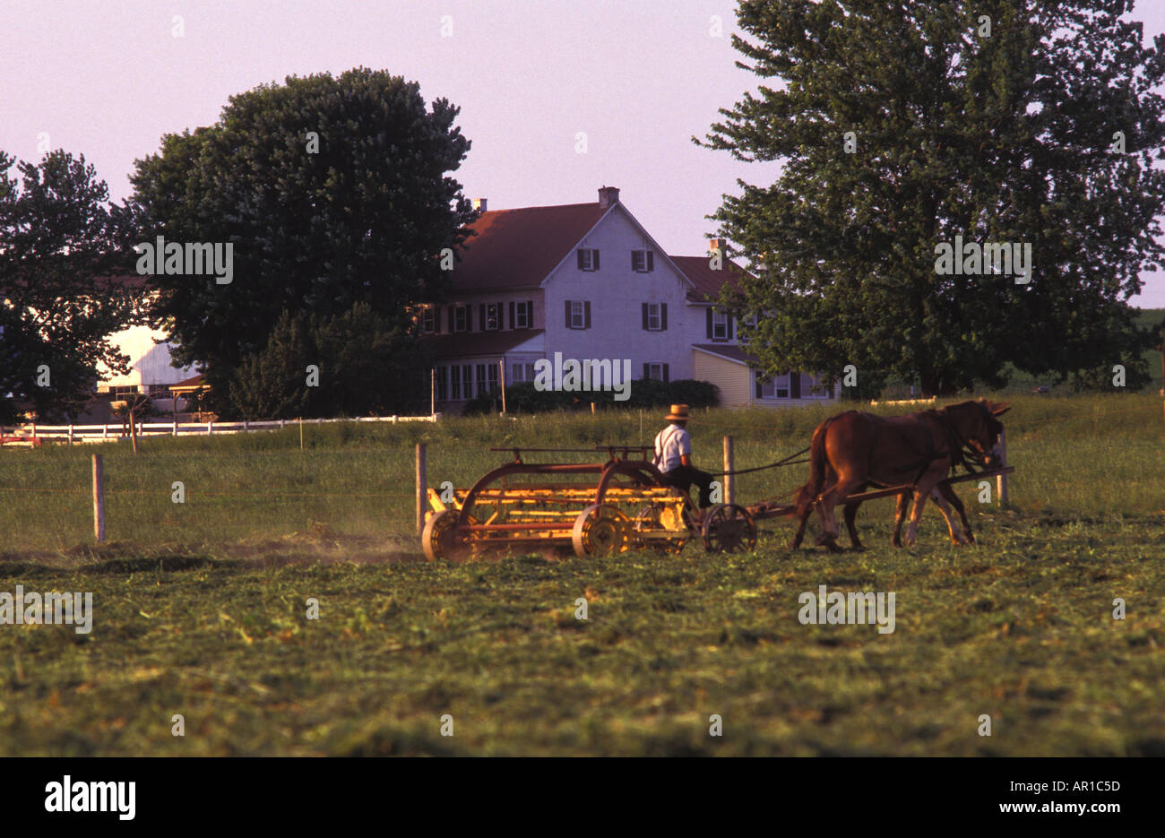 Straw hat amish hi-res stock photography and images - Alamy