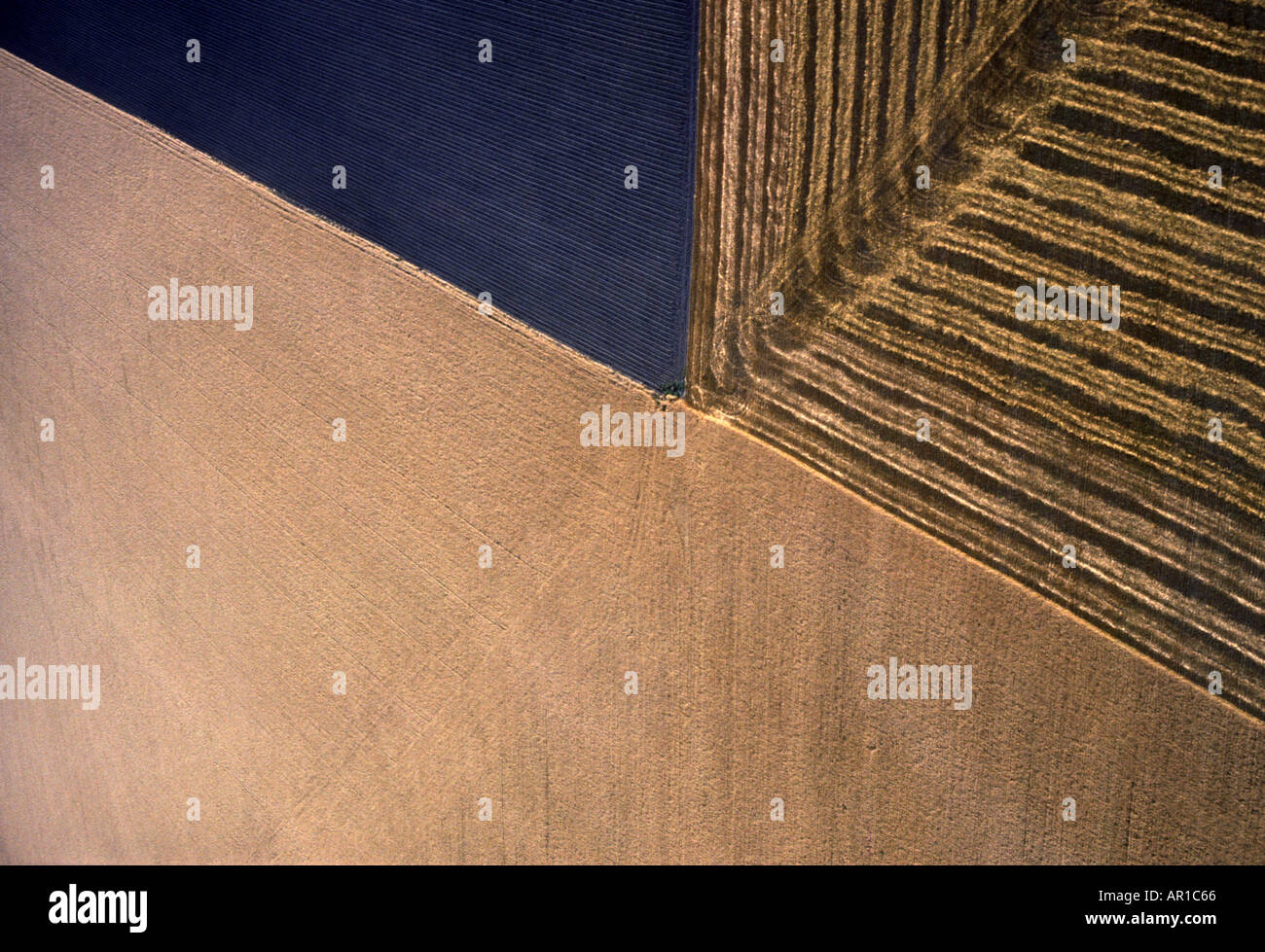 Kansas wheat fields, photographed from an airplane Stock Photo - Alamy