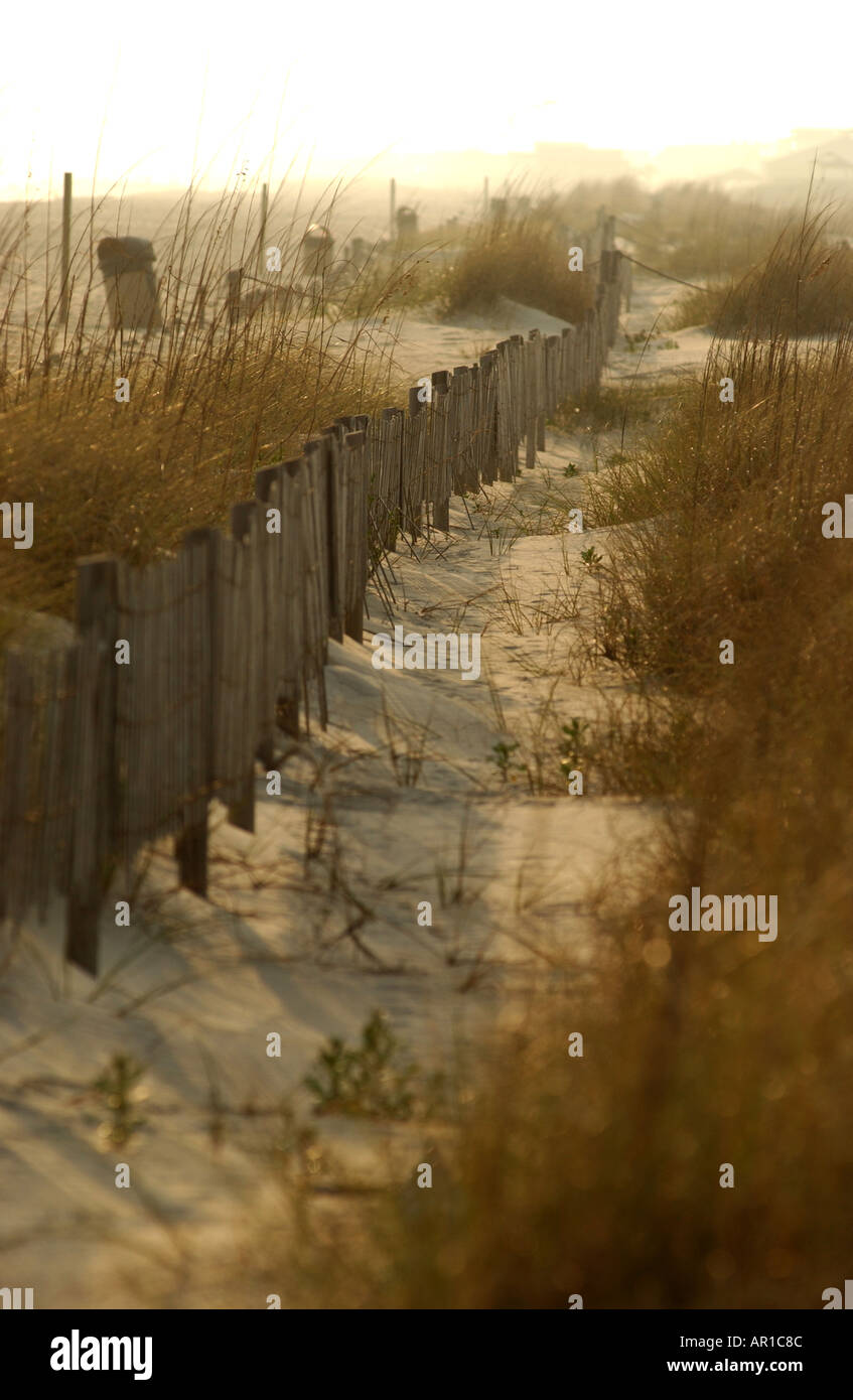 Vertical color image of a trail or path that leads to the ocean or ...