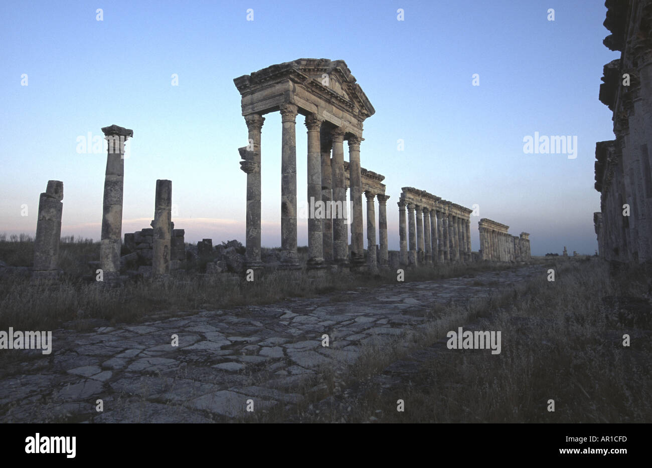 Syria wheat fields hi-res stock photography and images - Alamy