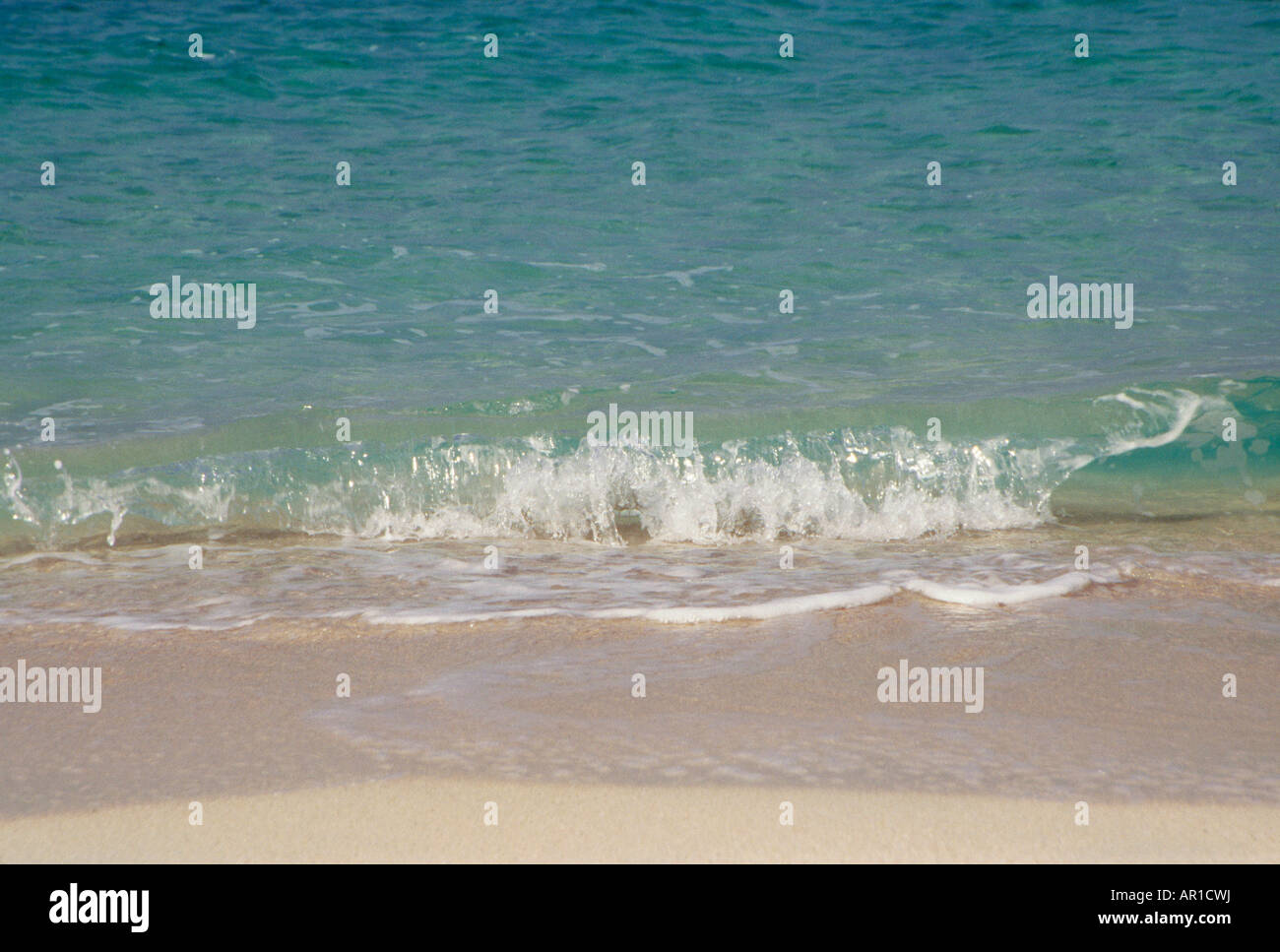 Front view of waves hitting the seashore Stock Photo - Alamy