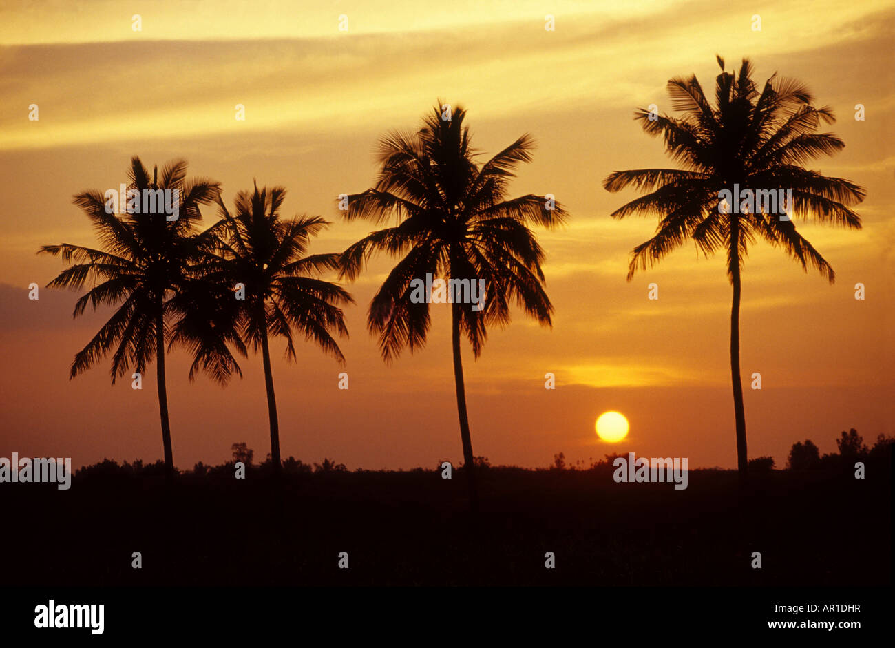 Goan resort hi-res stock photography and images - Alamy