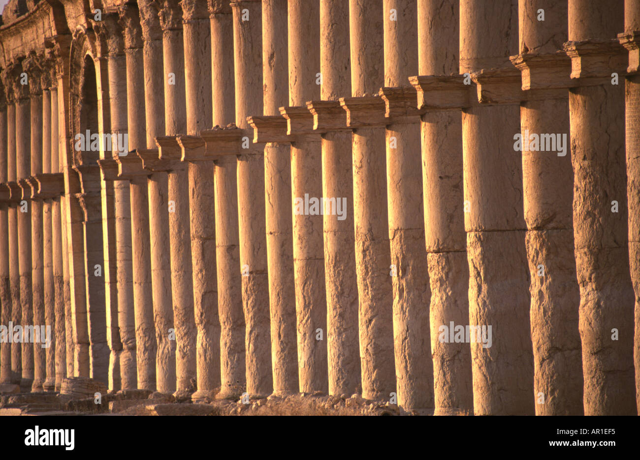 Wall of Columns Palmyra Stock Photo - Alamy