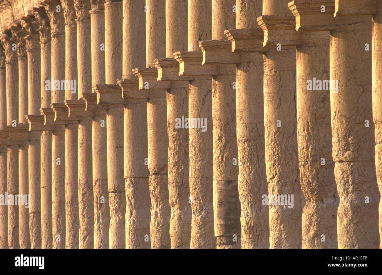 Line of Columns Palmyra Stock Photo - Alamy