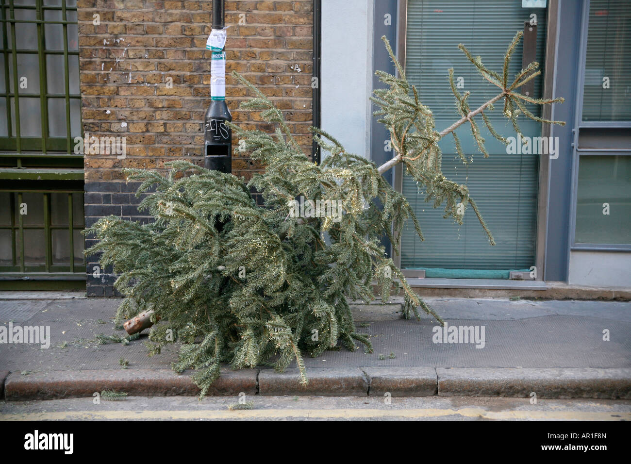 Tree dumped hi-res stock photography and images - Alamy