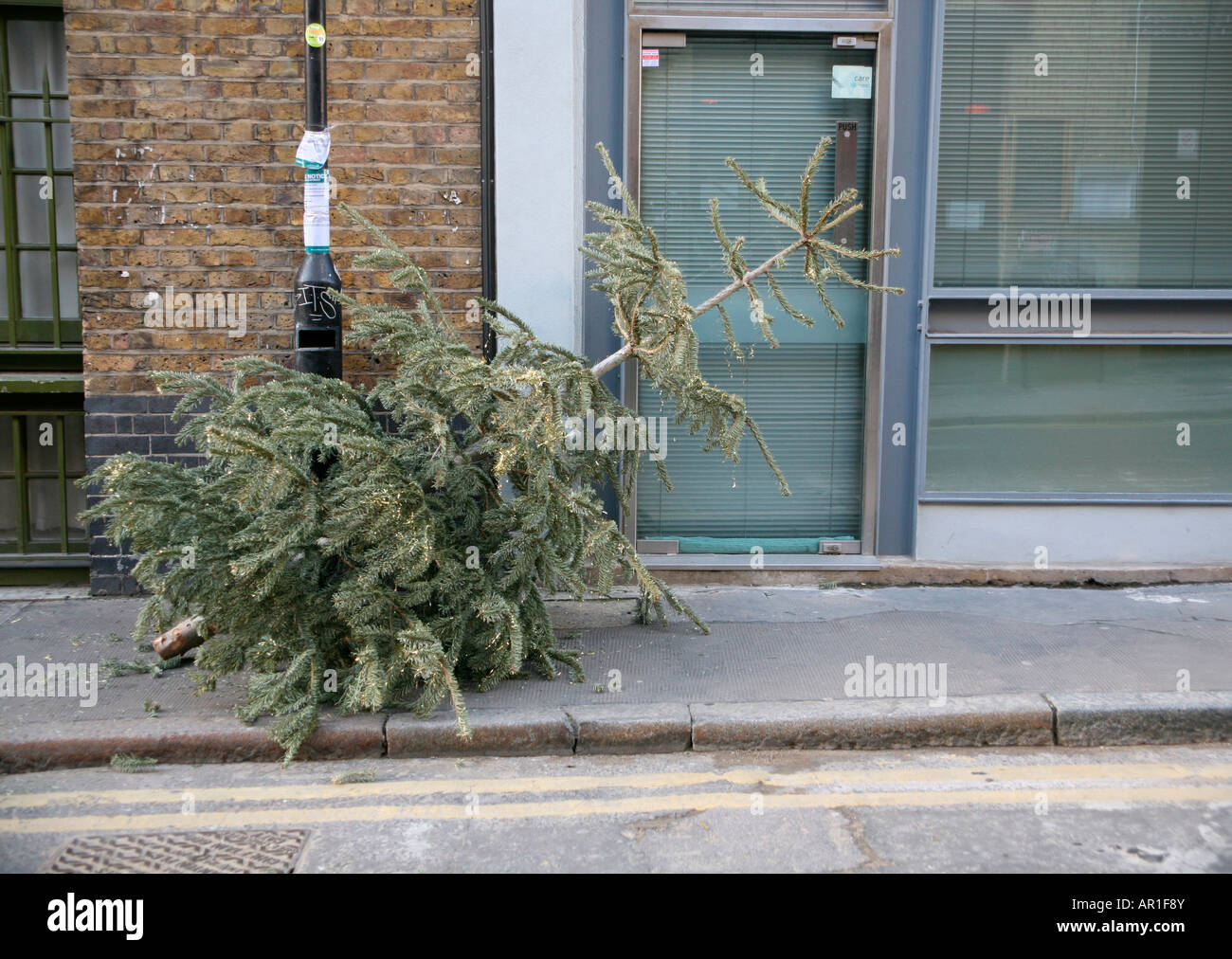 Dumped Christmas tree in street, London Stock Photo - Alamy
