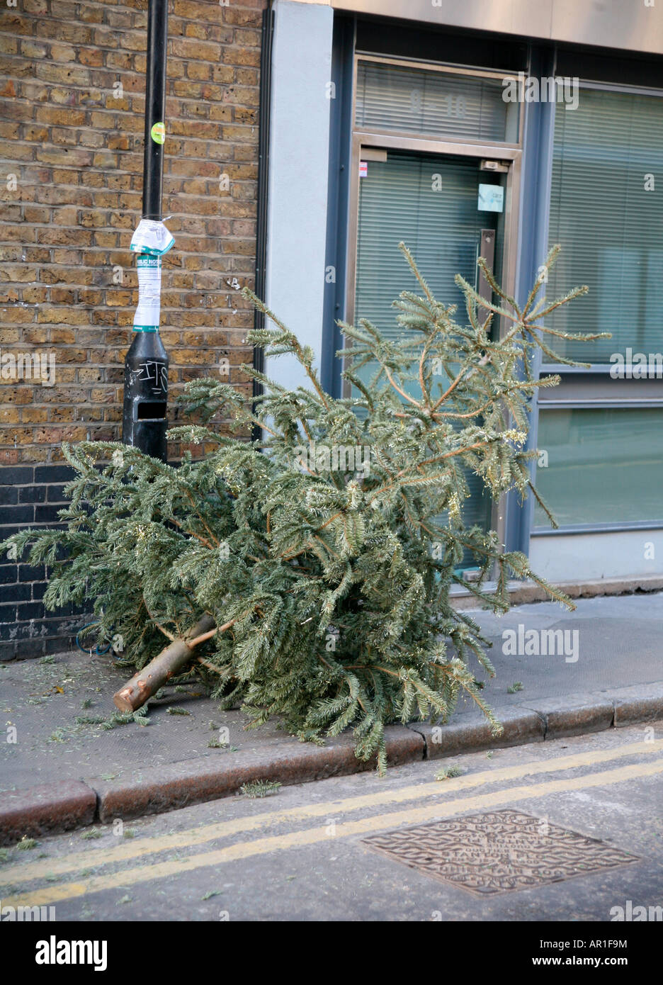 Tree dumped hi-res stock photography and images - Alamy