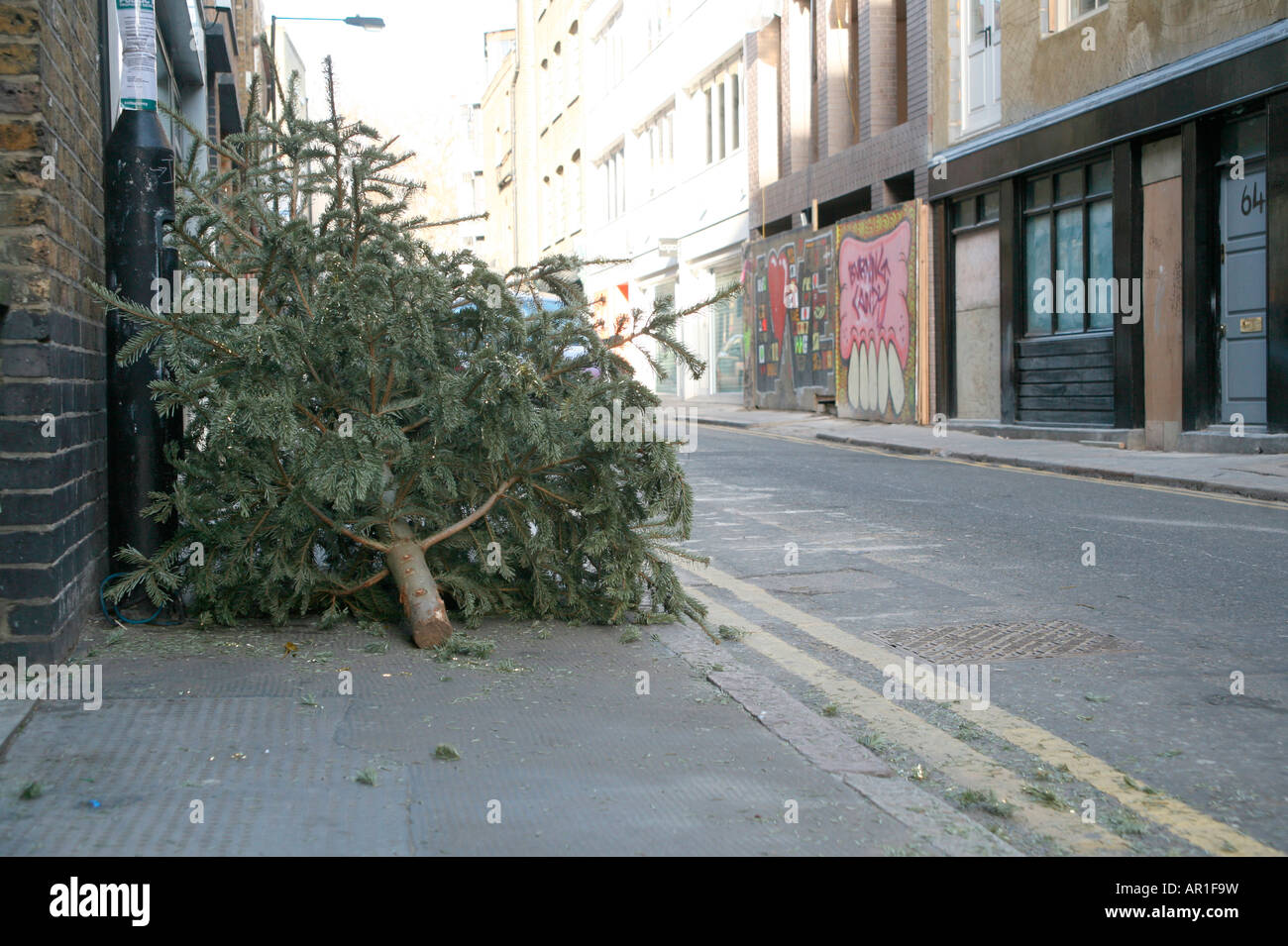 Dumped Christmas tree in street, London Stock Photo - Alamy