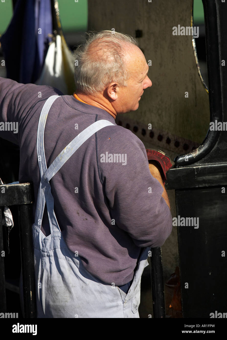 Steam train driver Stock Photo - Alamy