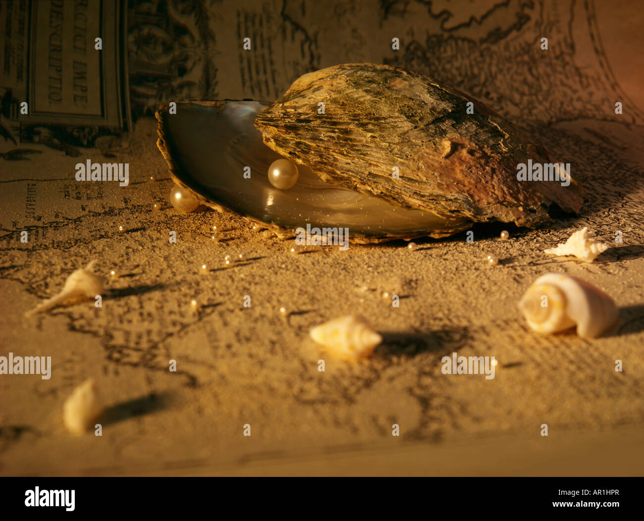 Shells with pearl on a Antique map Stock Photo - Alamy