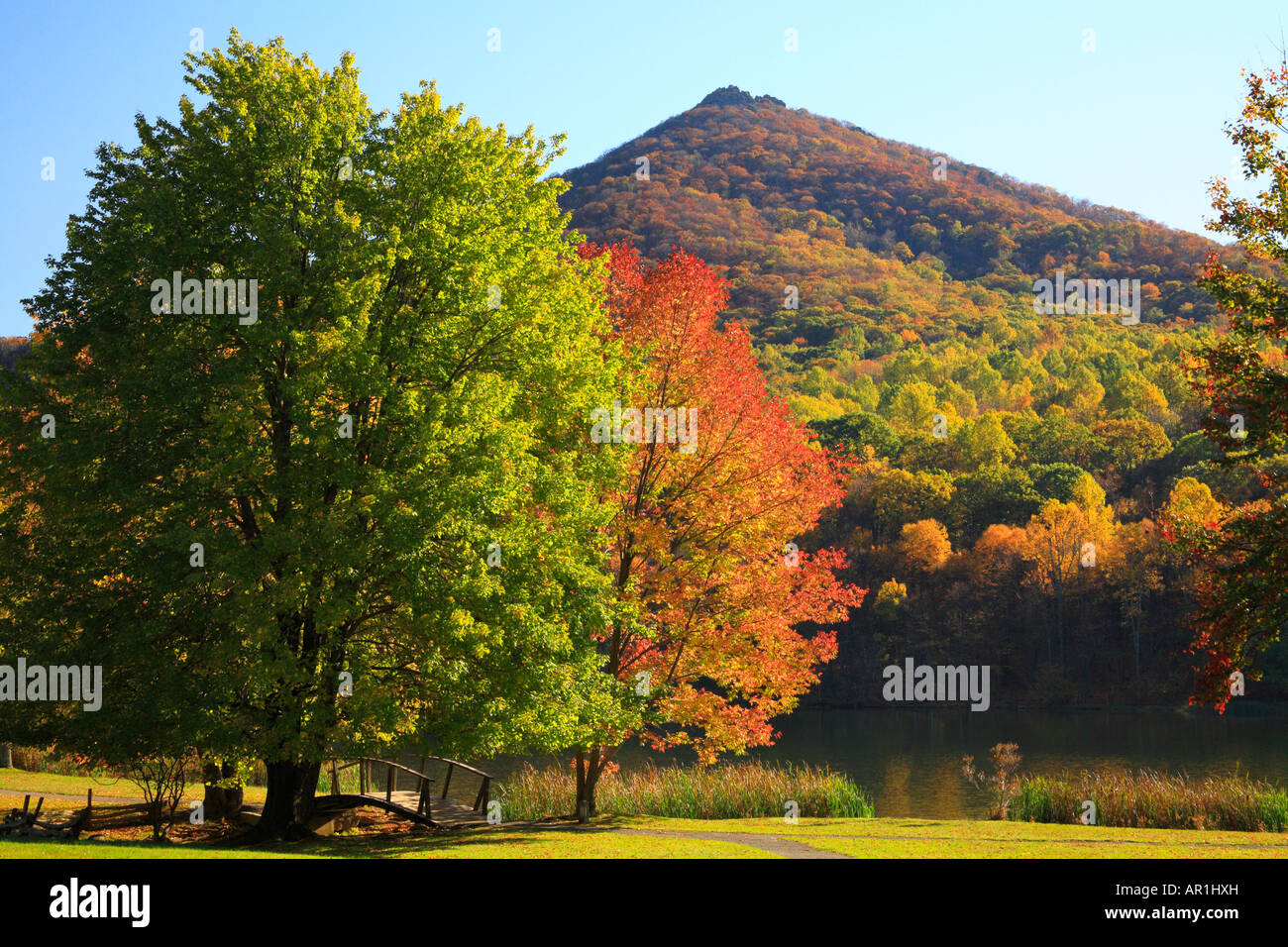 Sharp Top Mountain, Peaks of Otter, Blue Ridge Parkway, Virginia, USA ...