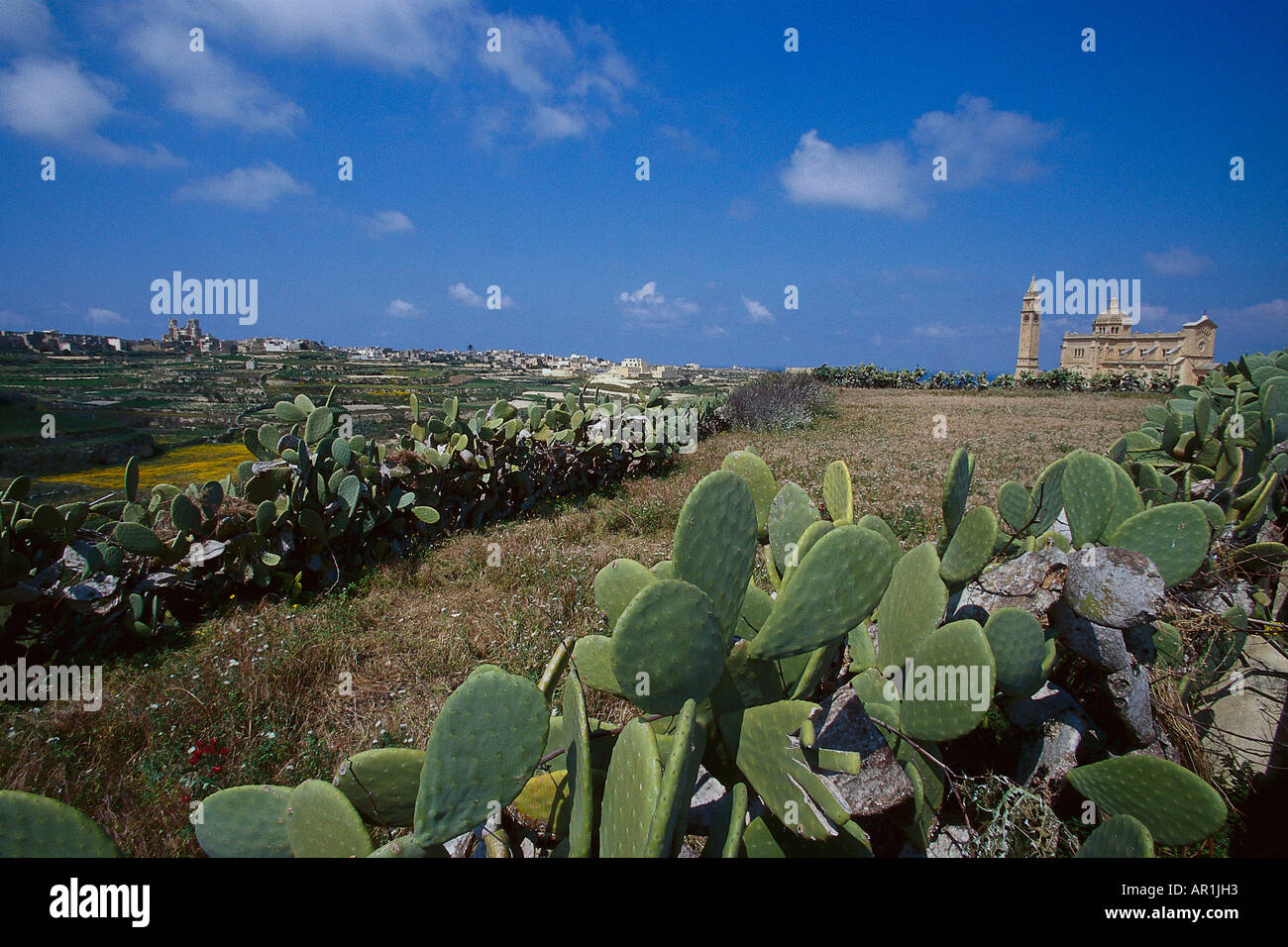 Pilgrimage church ta pinu hi-res stock photography and images - Alamy