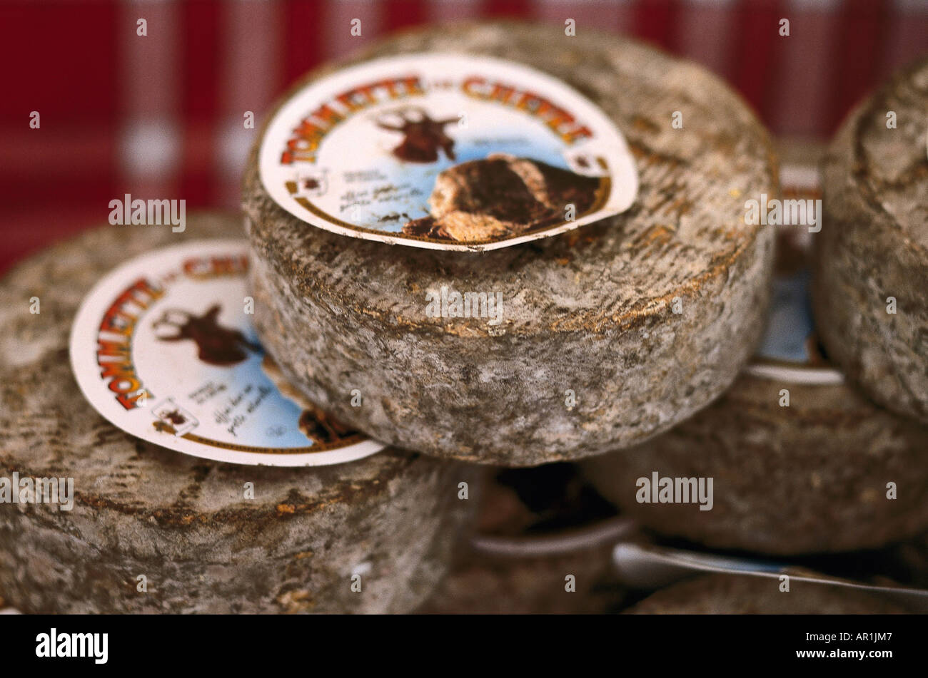 Goat cheese, Provence France Stock Photo - Alamy