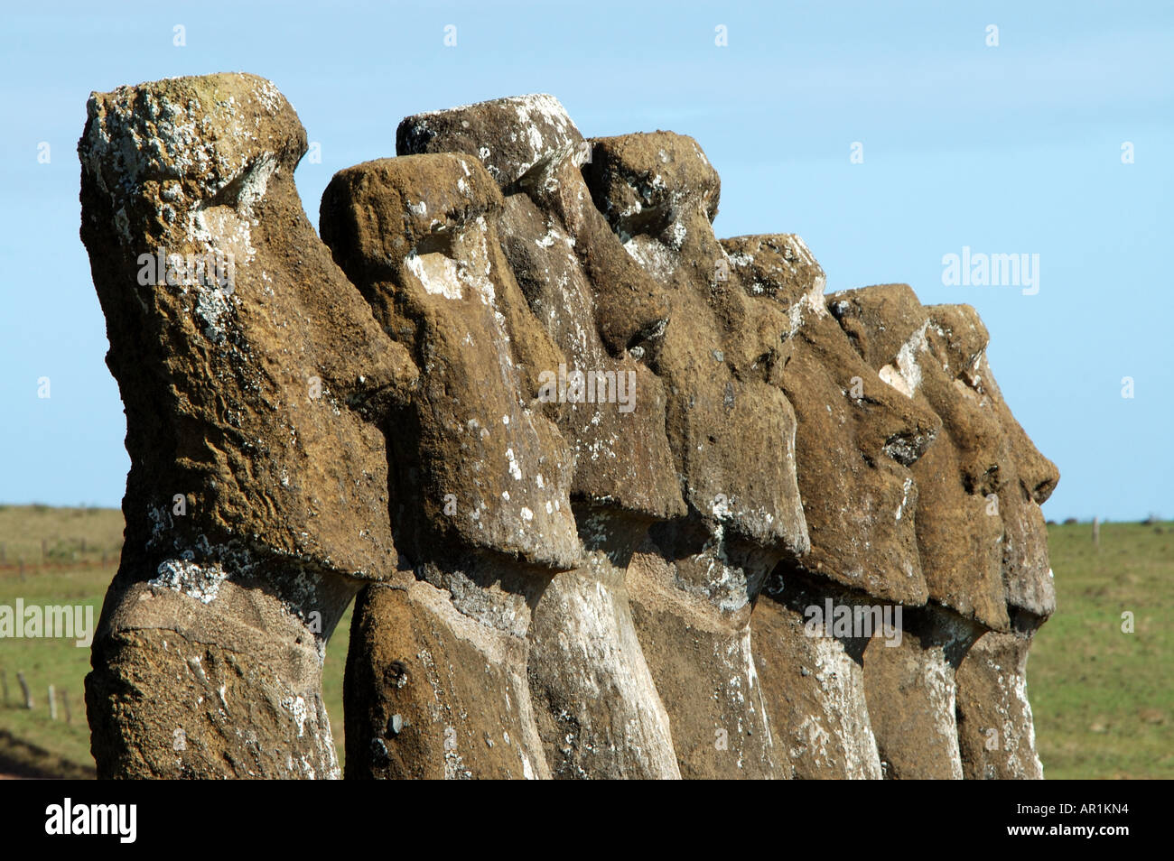 Facing spotlight hi-res stock photography and images - Alamy
