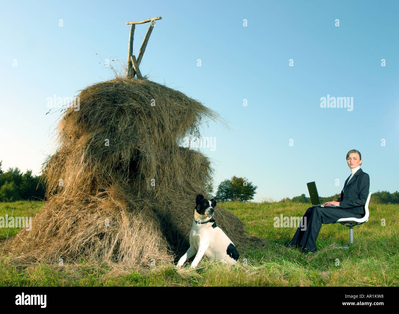outdoor autumn day field mead hay prong tree trees grass woman young 25 ...