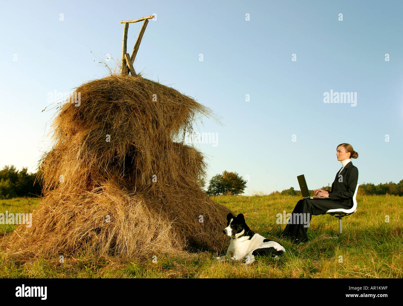 outdoor autumn day field mead hay prong tree trees grass woman young 25 ...