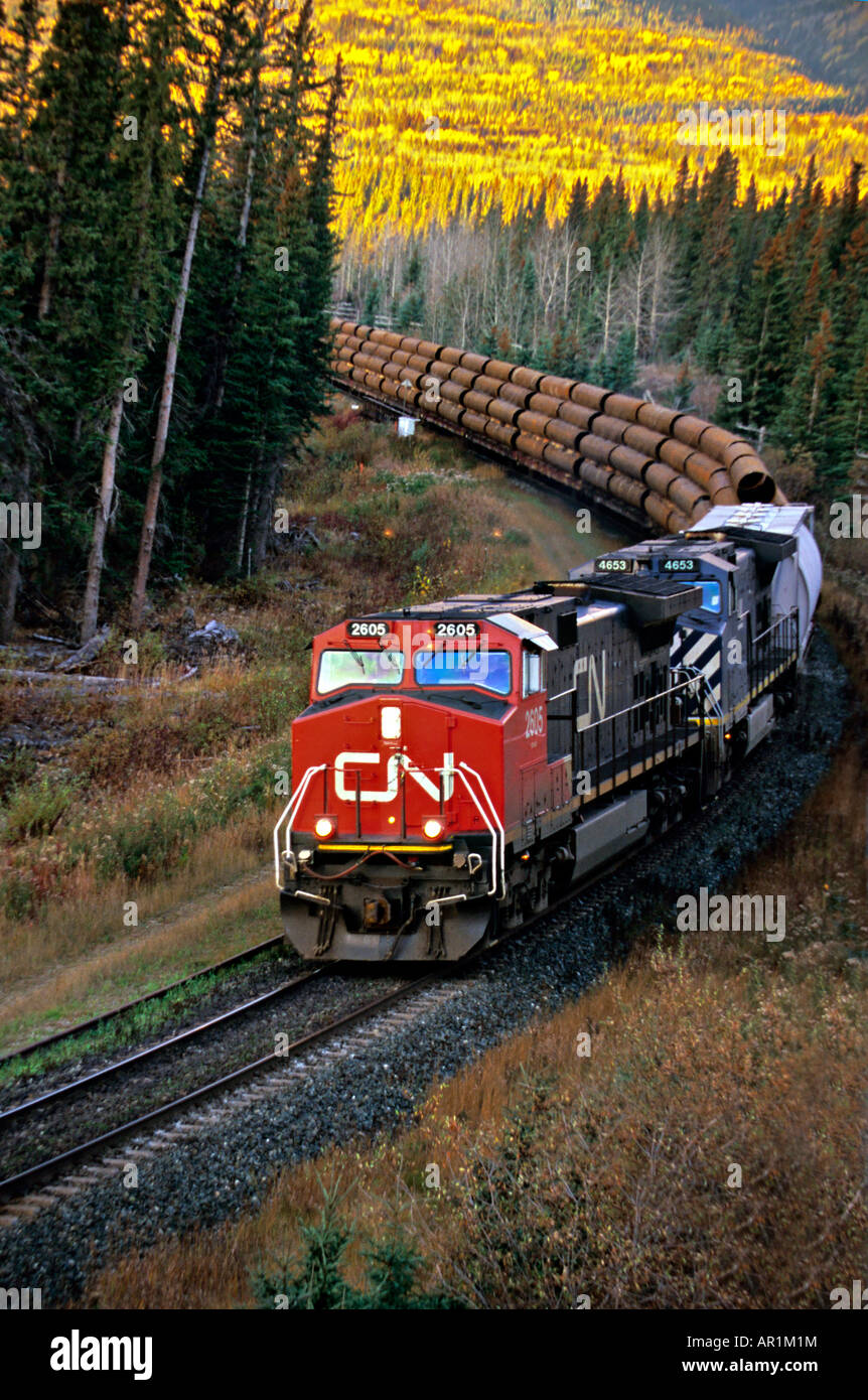A C.N. freight train Stock Photo - Alamy