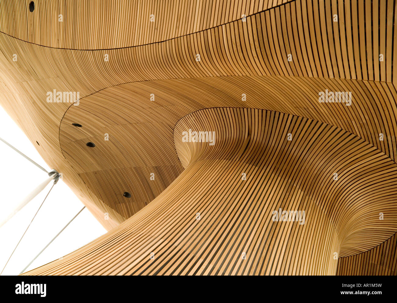 Interior of the Welsh Senedd building showing the flowing form of the ...