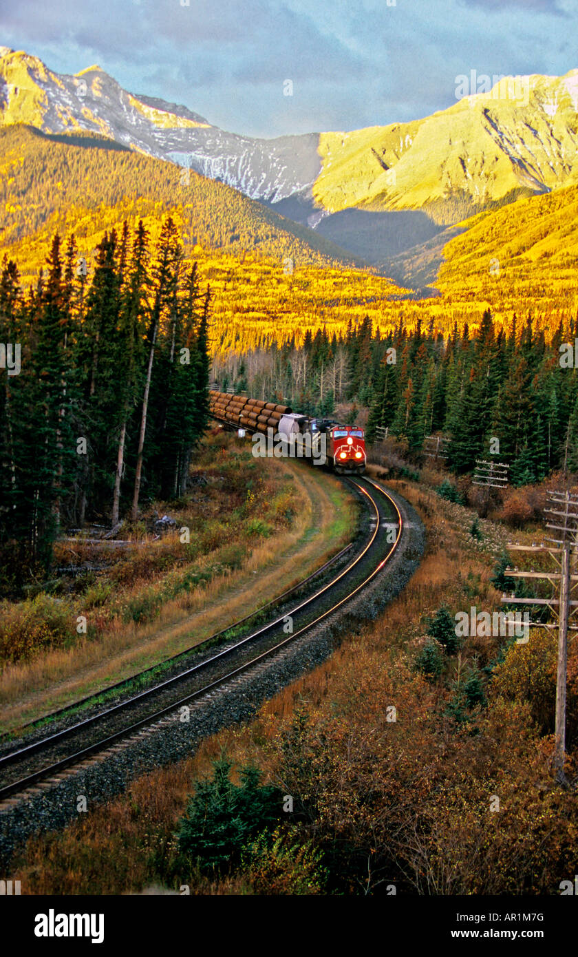A C.N. freight train Stock Photo - Alamy