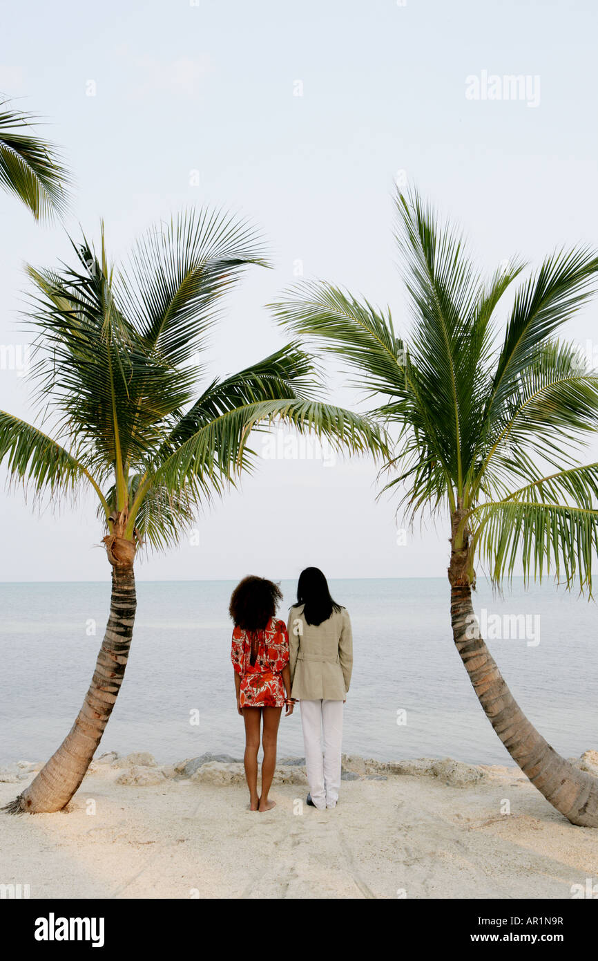 Palm trees standing on hi-res stock photography and images - Alamy