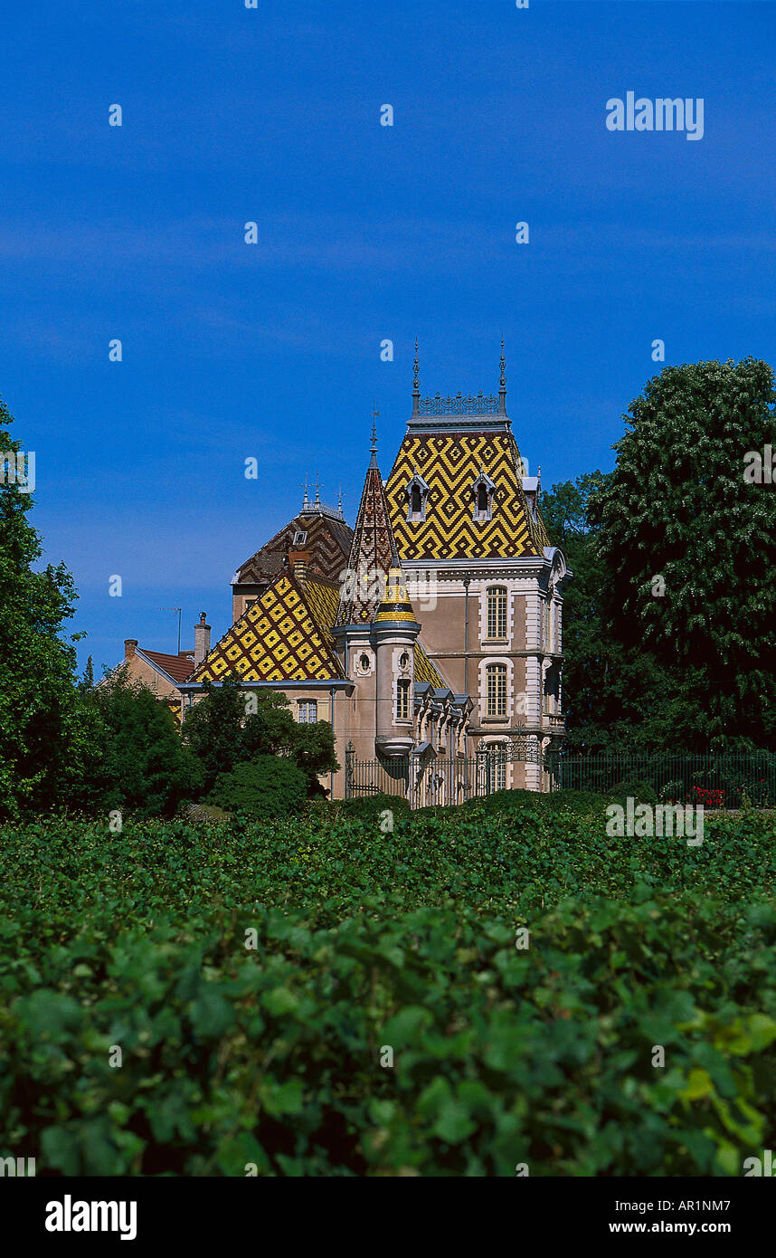 Corlon le chateau aloxe corlon hi-res stock photography and images - Alamy