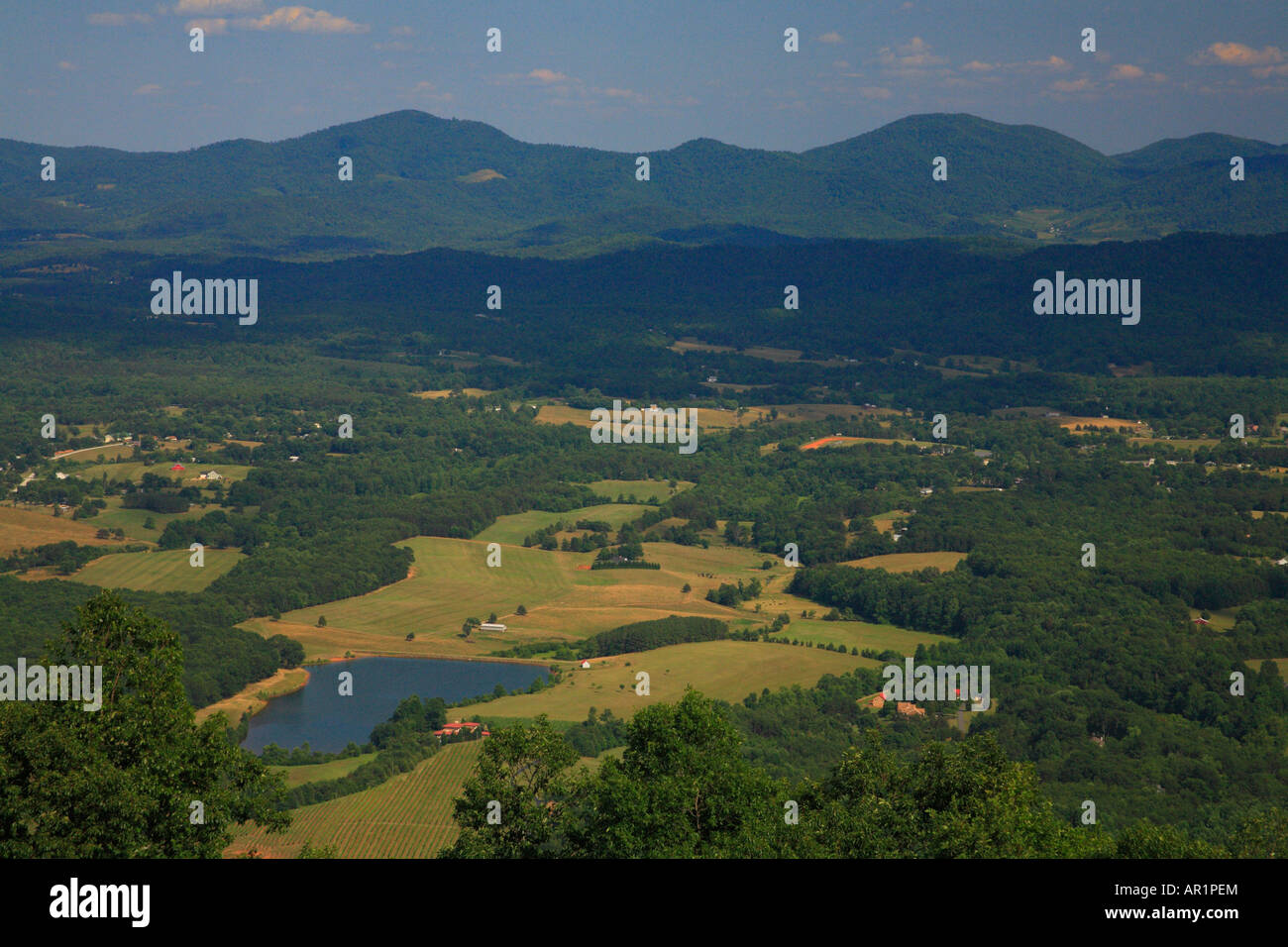 Orange rockfish hi-res stock photography and images - Alamy