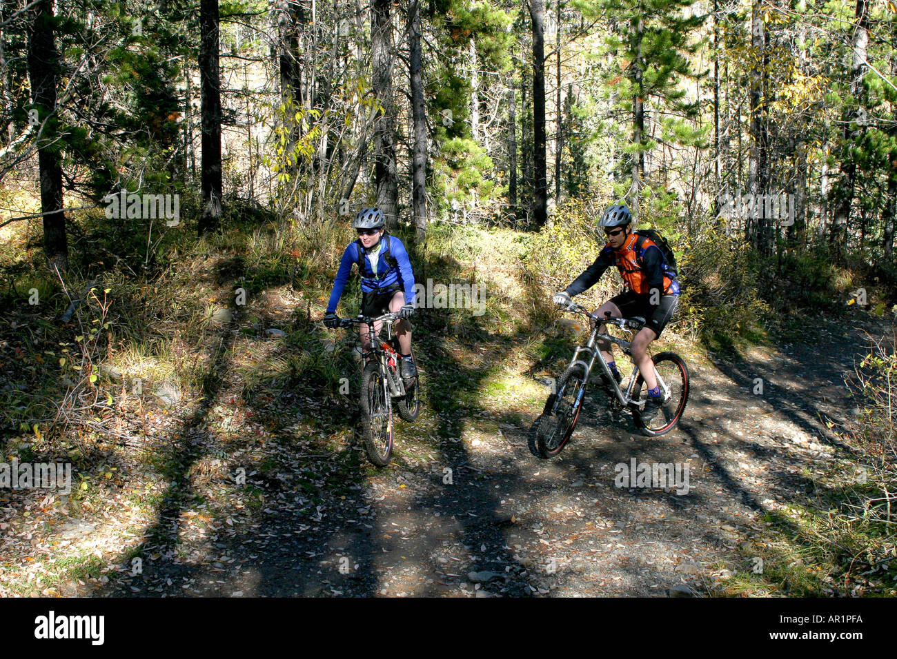 Team mountain bike athletes hi-res stock photography and images - Alamy