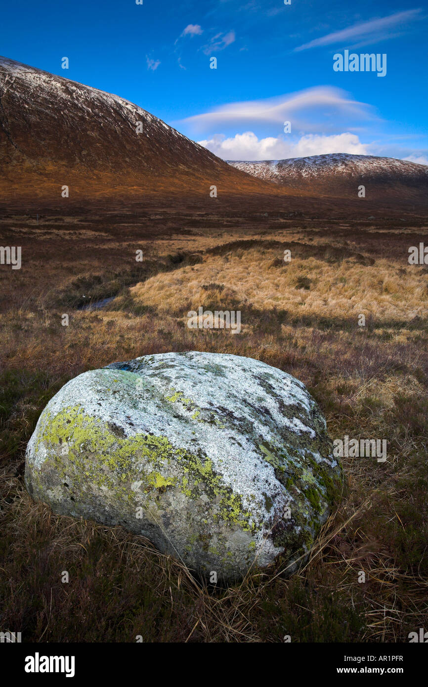 Boulder on the heathland at Rannoch Moor, Scotland Stock Photo - Alamy