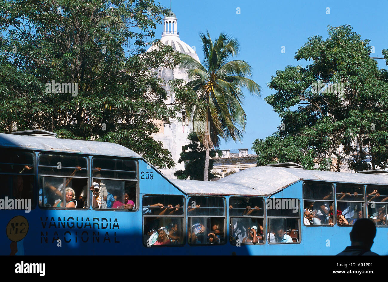 Camello cuba hi-res stock photography and images - Alamy