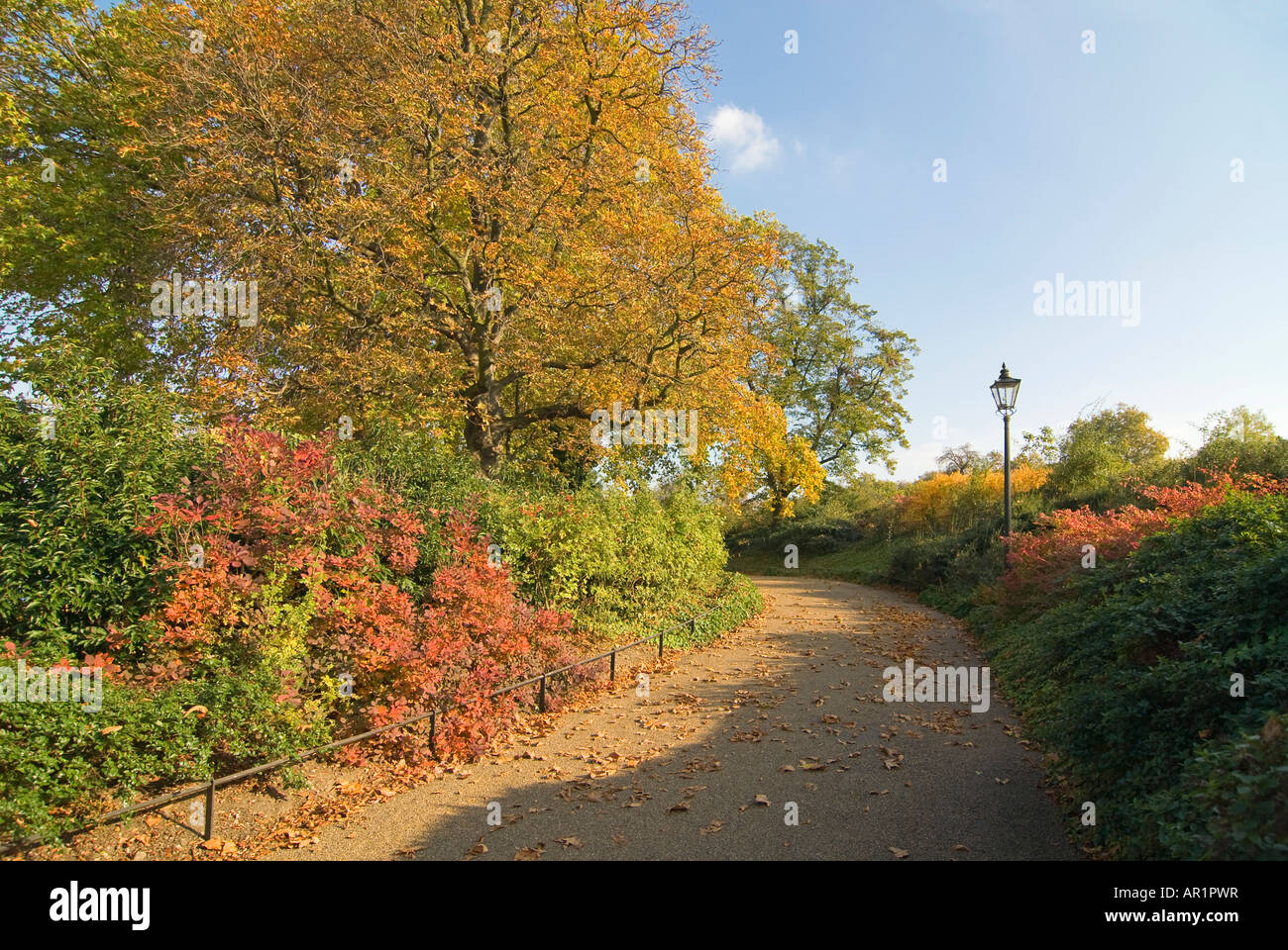 Pathway winding hi-res stock photography and images - Alamy