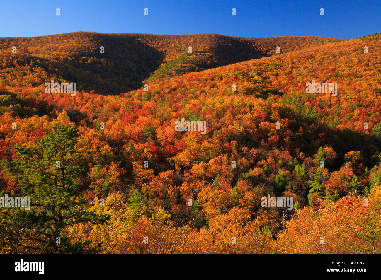 Tye River Gap, Blue Ridge Parkway, Virginia, USA Stock Photo - Alamy