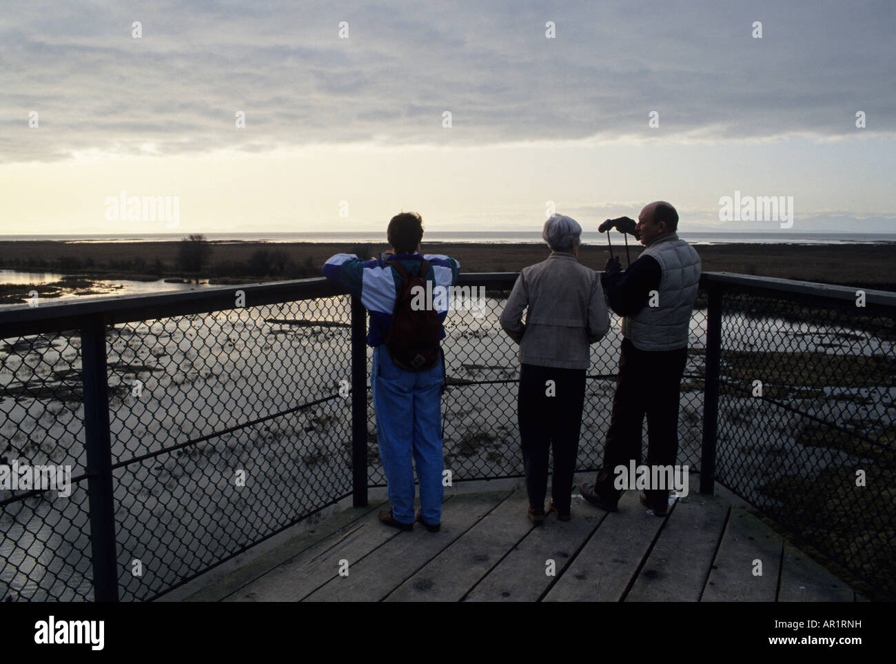 Birdwatchers in viewing tower Riefel Bird Sanctuary Ladner British ...