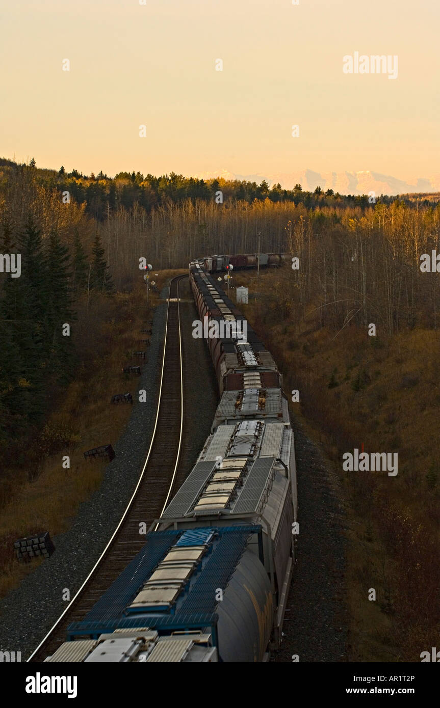 A C.N. freight train Stock Photo - Alamy