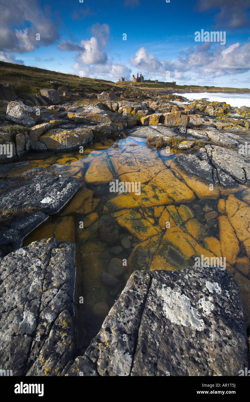 Rockpools near Dunstanburgh Castle, Northumberland Stock Photo - Alamy