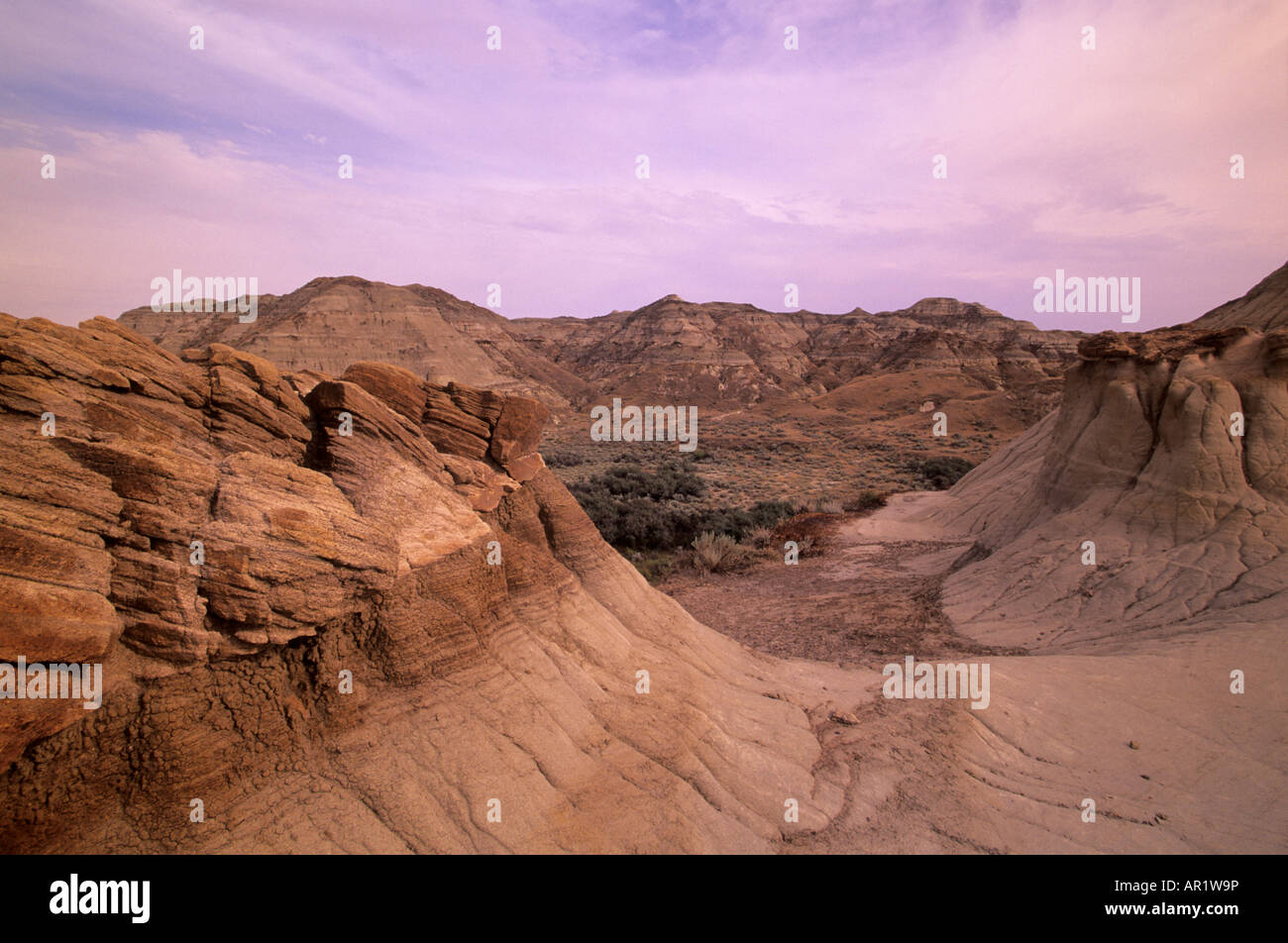 Badlands scene Dinosaur Provincial Park Alberta Stock Photo - Alamy