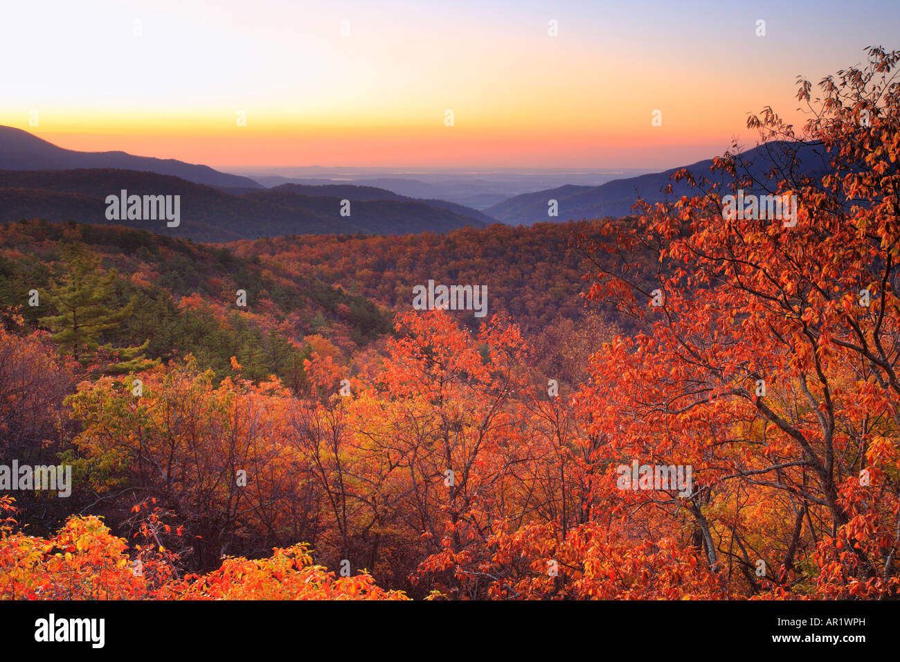 Sunrise, Tye River Gap, Blue Ridge Parkway, Virginia, USA Stock Photo ...