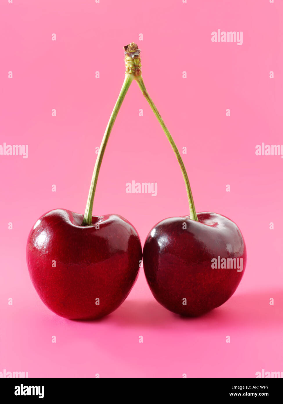 pair of Red Cherries with stalk Stock Photo - Alamy