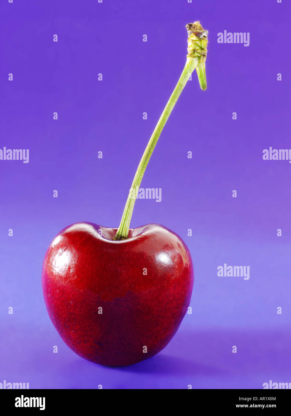 Stiil life of cherry hi-res stock photography and images - Alamy
