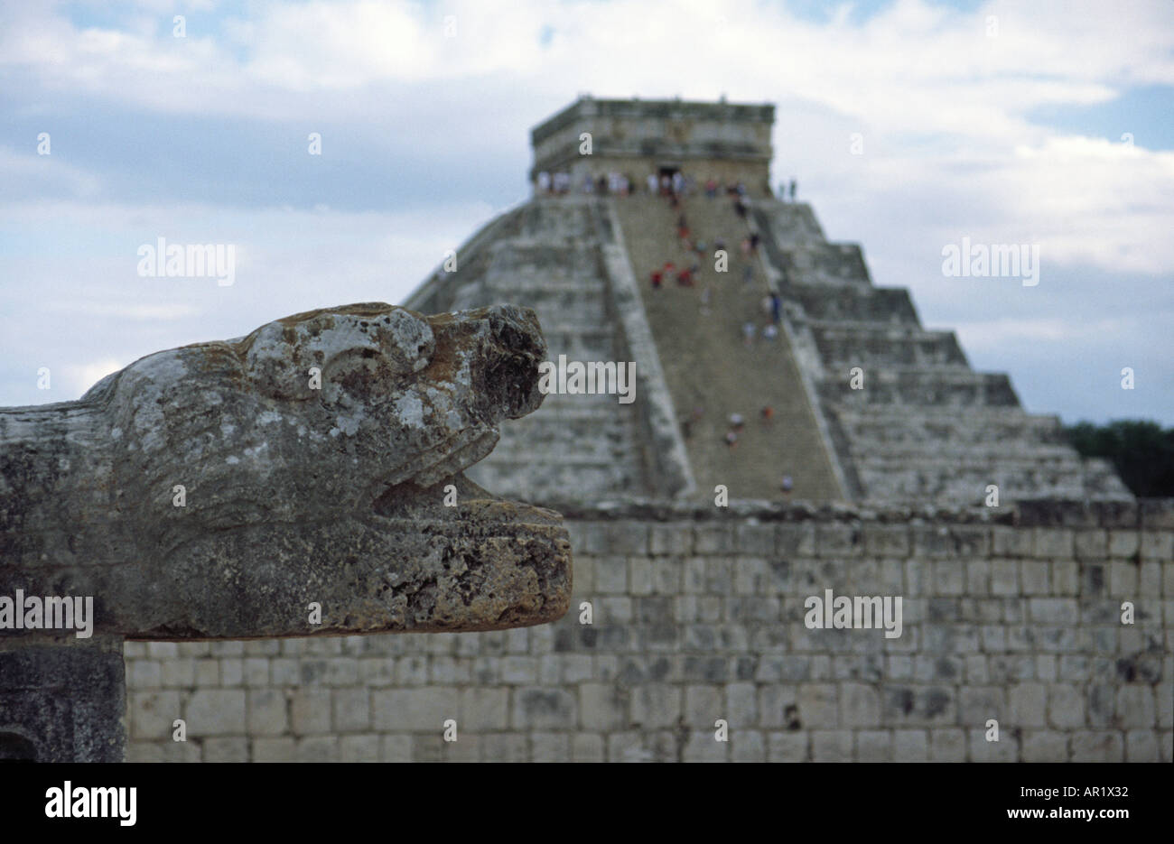 Snakes climbing hi-res stock photography and images - Alamy
