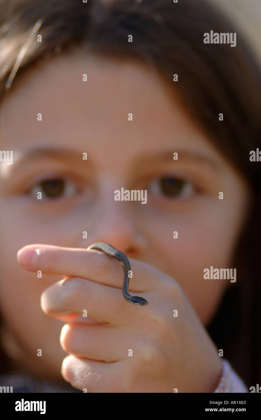 Close up holding snake hi-res stock photography and images - Alamy