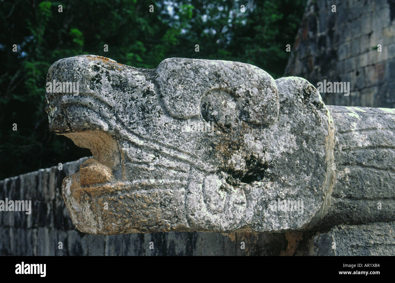 Stone carving of a snakes head at Chichen Itza on the Yucatan Peninsula ...
