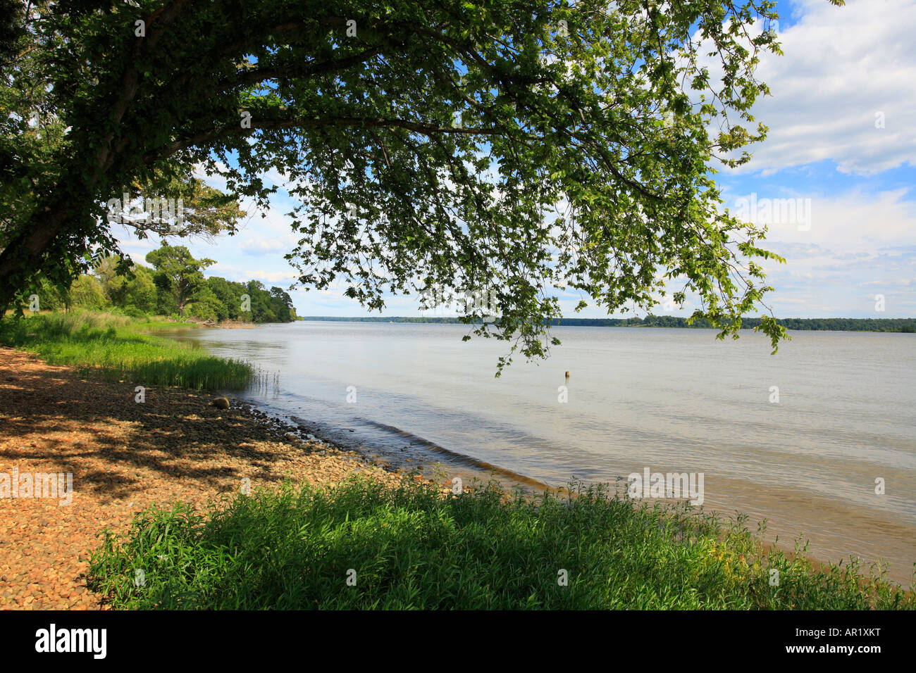 James River, Berkeley Plantation, Charles City, Virginia, USA Stock ...