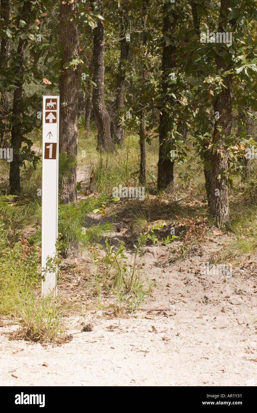 Trail marker leads the way on the Cross Florida Greenway's Nayls Trail ...