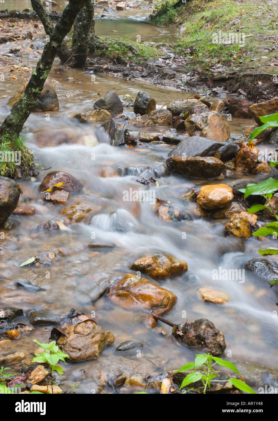 Unicoi hi-res stock photography and images - Alamy