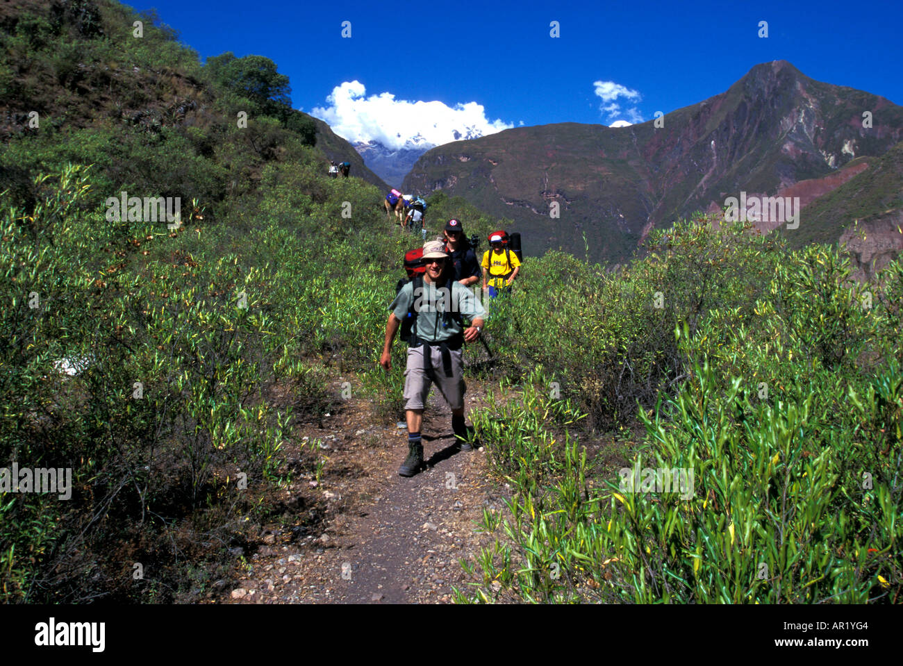 Trekker, Ancohuma Trekking Bolivia, South America Stock Photo - Alamy
