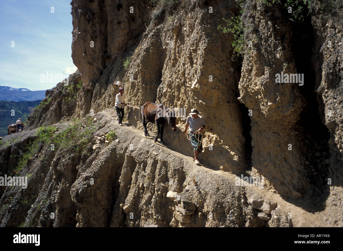 Donkey and driver hi-res stock photography and images - Alamy