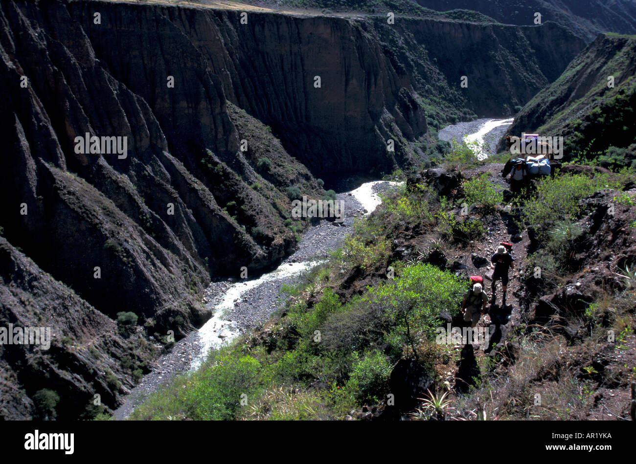 Trekker, riverbed, Ancohuma Trekking Bolivia, South America Stock Photo ...