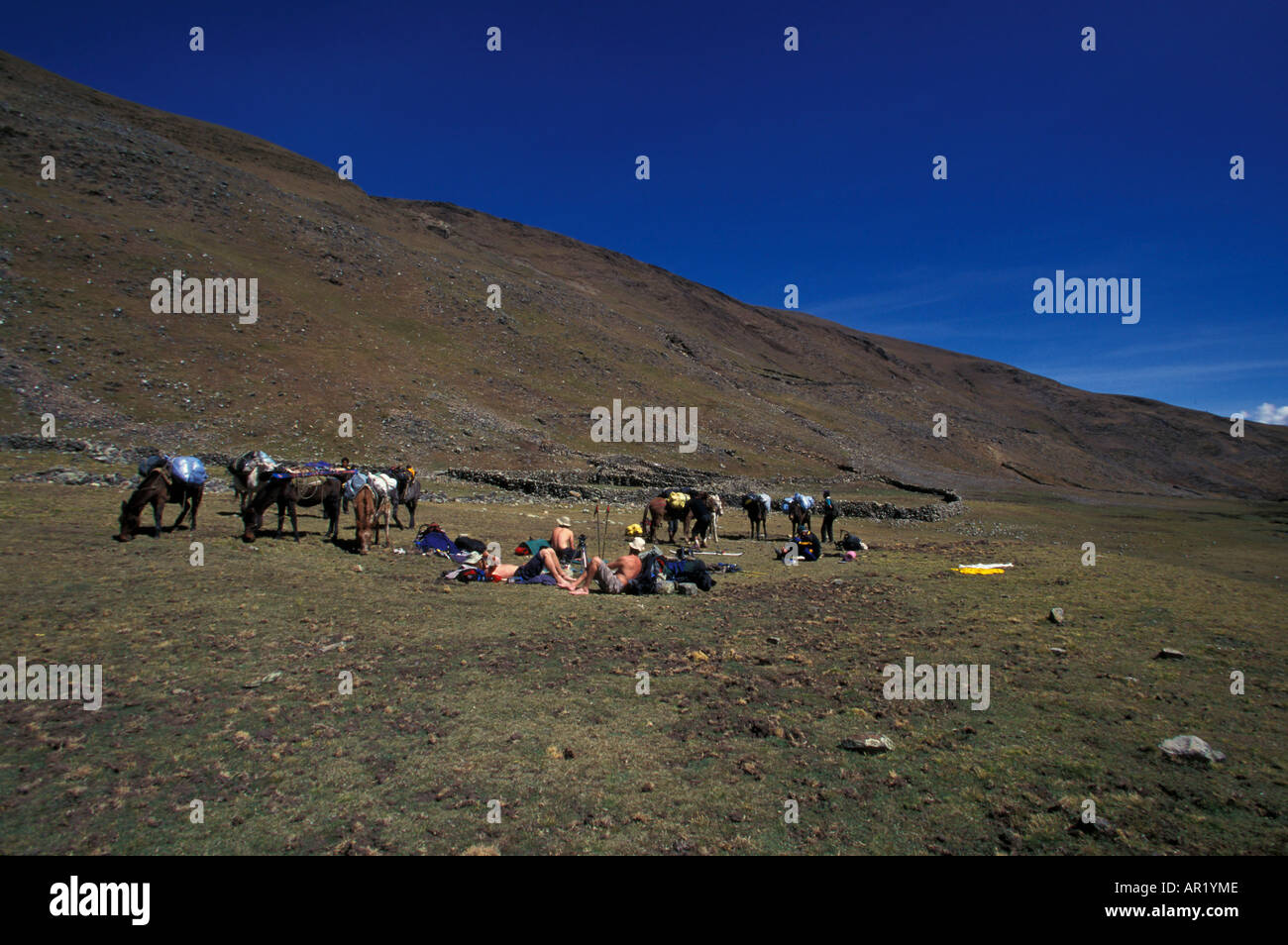Rest at plateau, Ancohuma Trekking Bolivia, South America Stock Photo ...