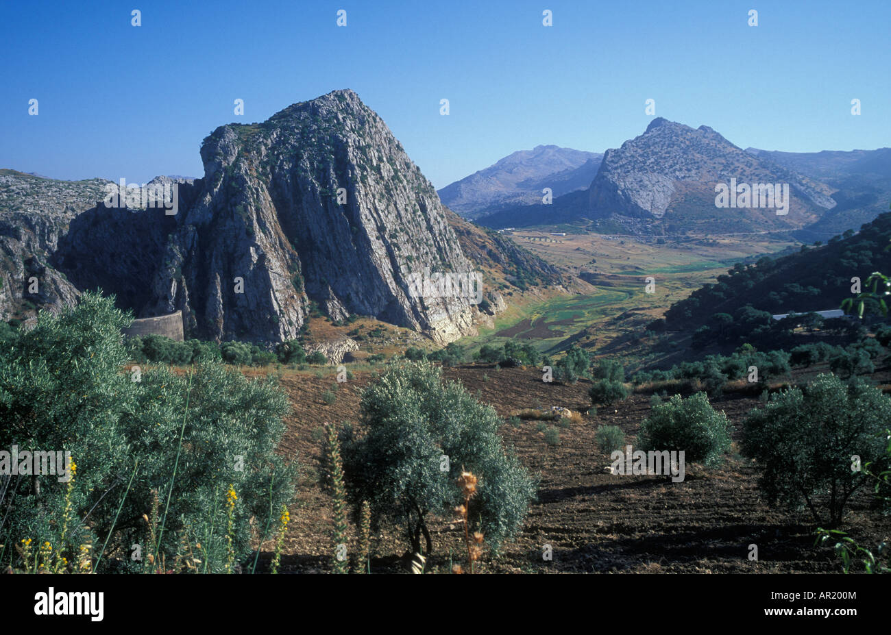 Landscape at Benaojan, near Ronda, Spain Stock Photo - Alamy