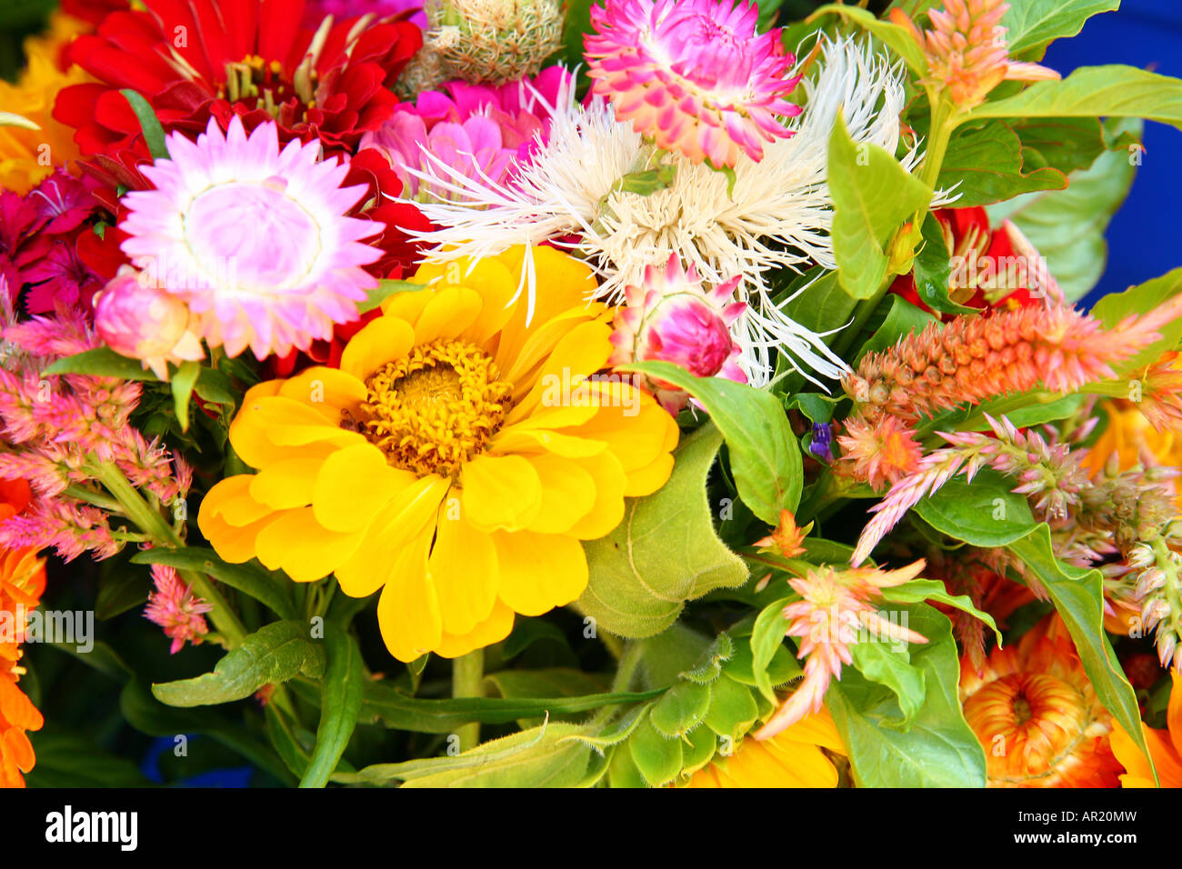 Bouquet of fresh flowers Stock Photo - Alamy